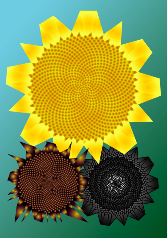 Math Art Gallery Top: About the displaying works | Art of Creation